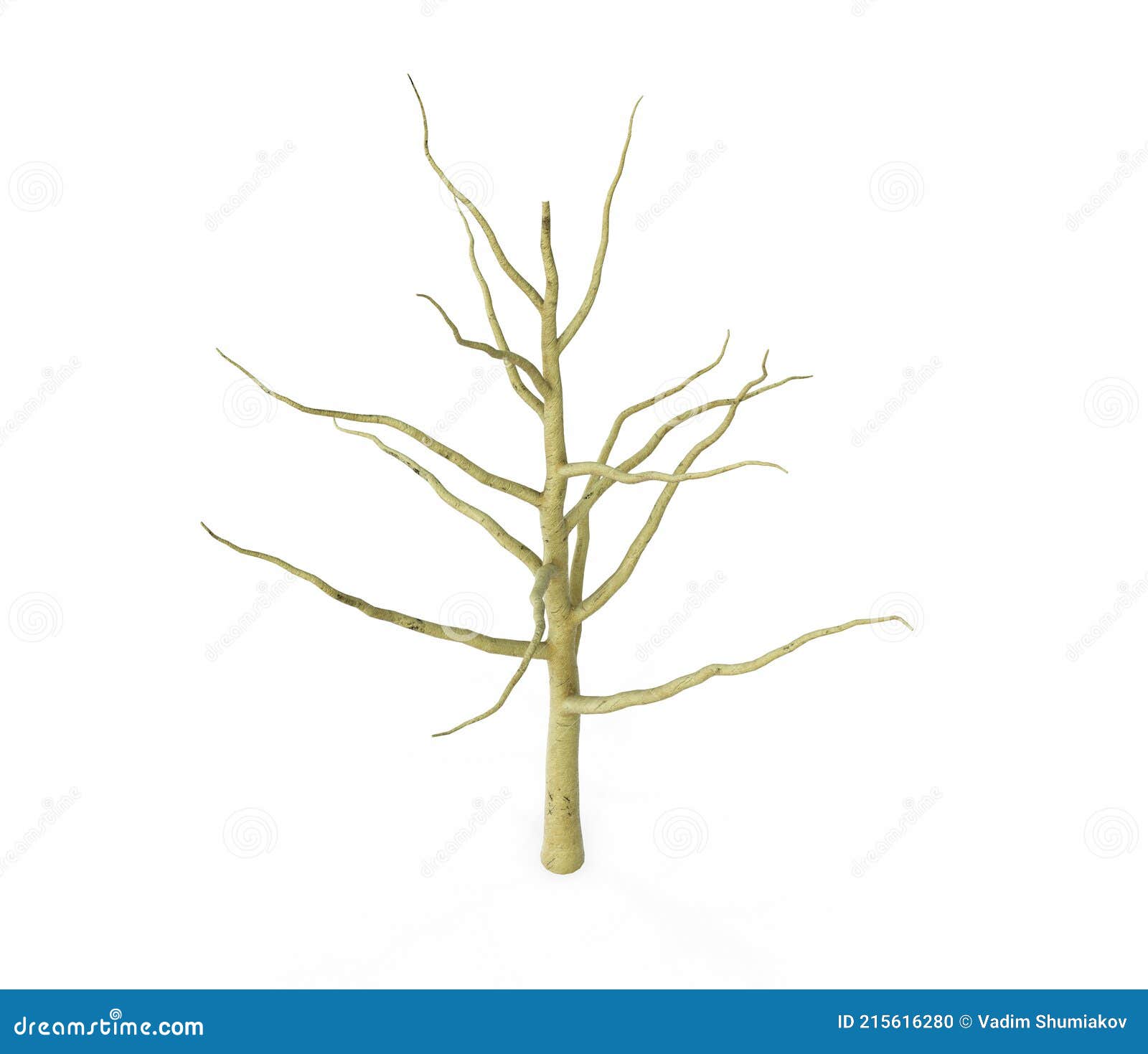 Realistic Apple Tree Full of Leaves Isolated on a White. 3d Render ...