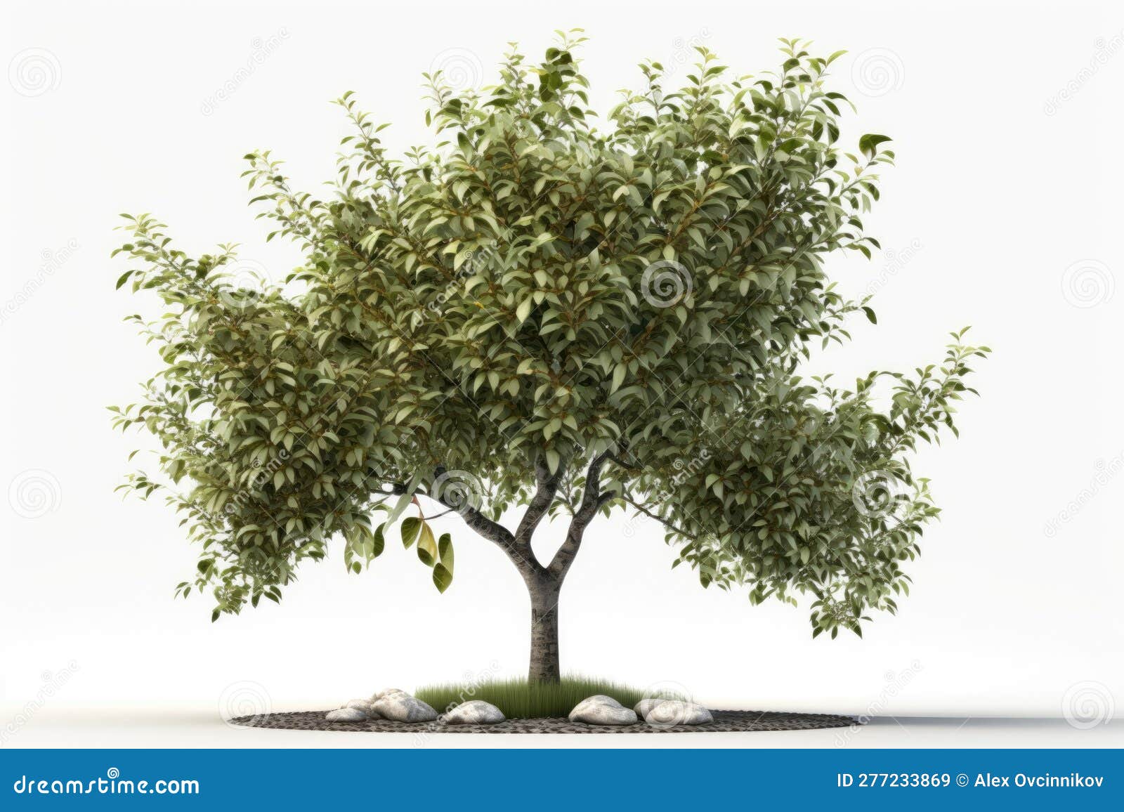 Realistic Apple Tree on White Background for Invitations and Posters ...