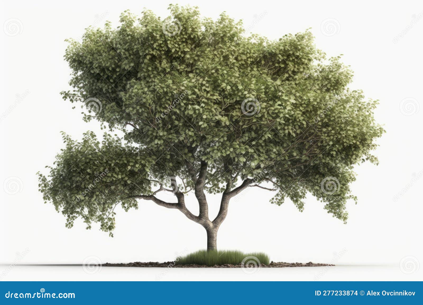 Realistic Apple Tree on White Background for Invitations and Posters ...
