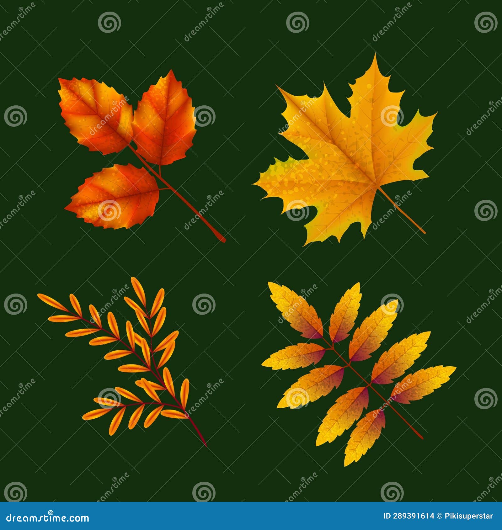 Realistic Autumn Leaves Collection Vector Design Stock Vector ...