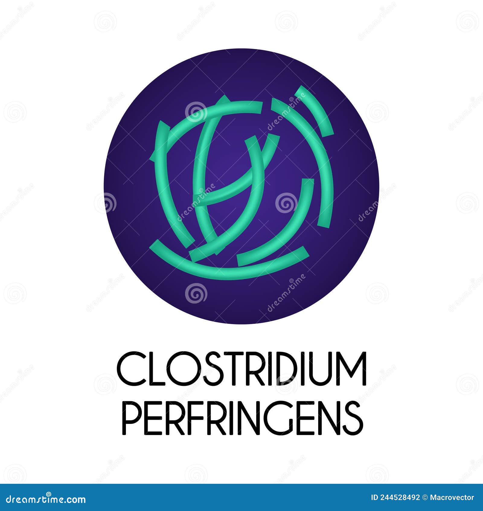 Clostridium Perfringens Bacteria Stock Illustration | CartoonDealer.com ...