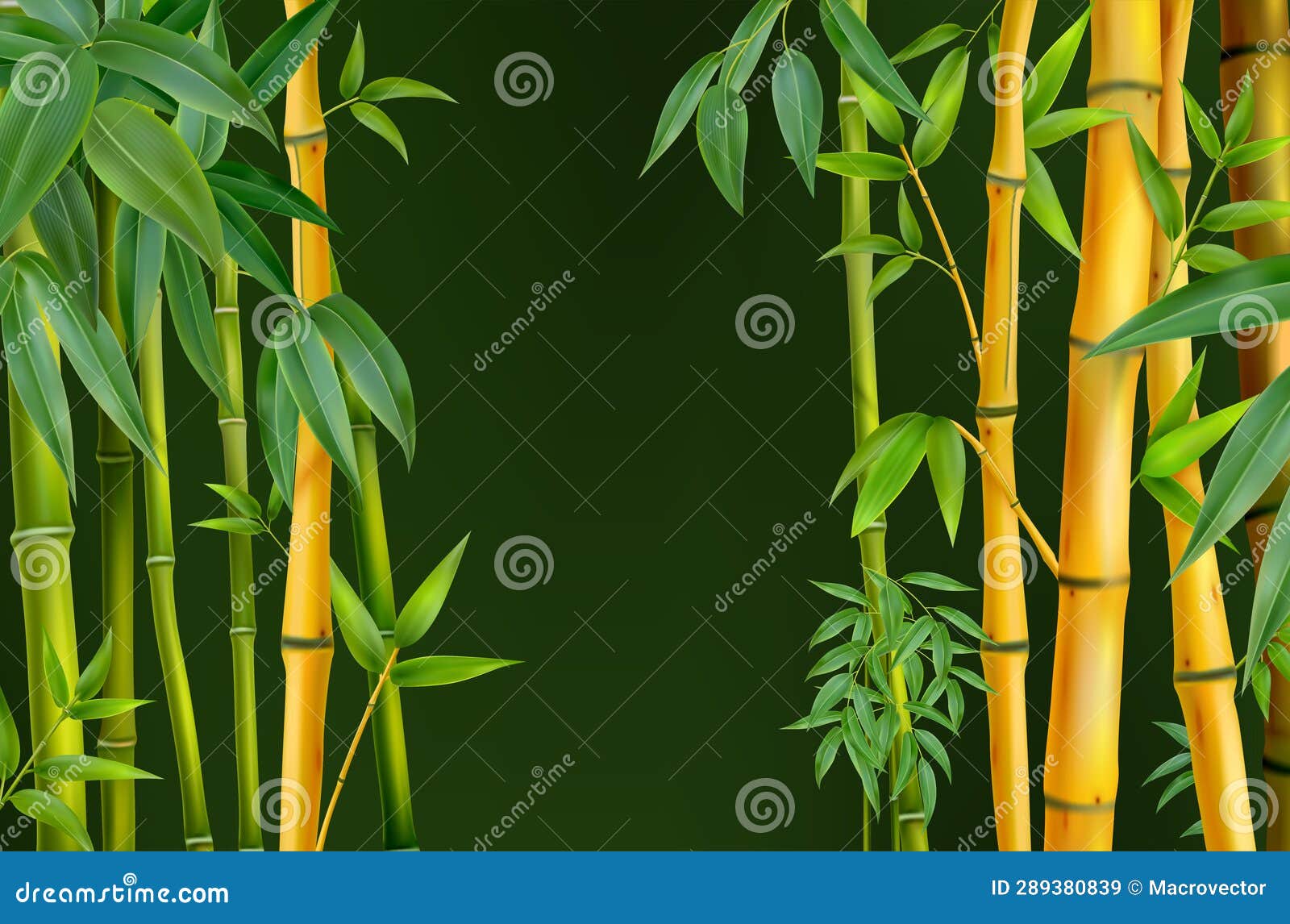 Realistic Bamboo Poster Set Cartoon Vector | CartoonDealer.com #291050719