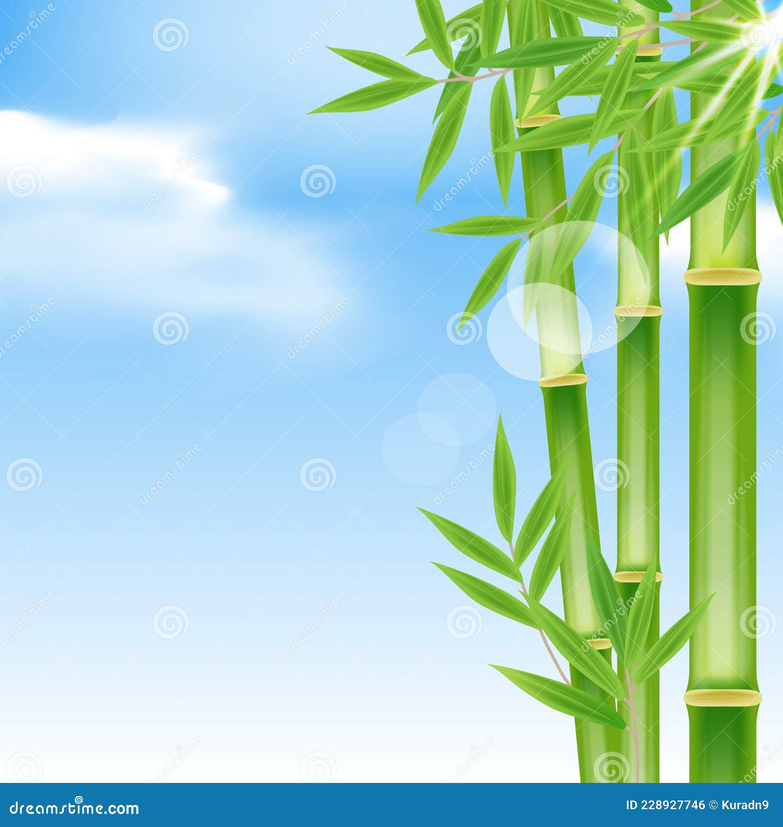 Realistic Bamboo Tree Landscape Scenery Background With Could, Sky ...