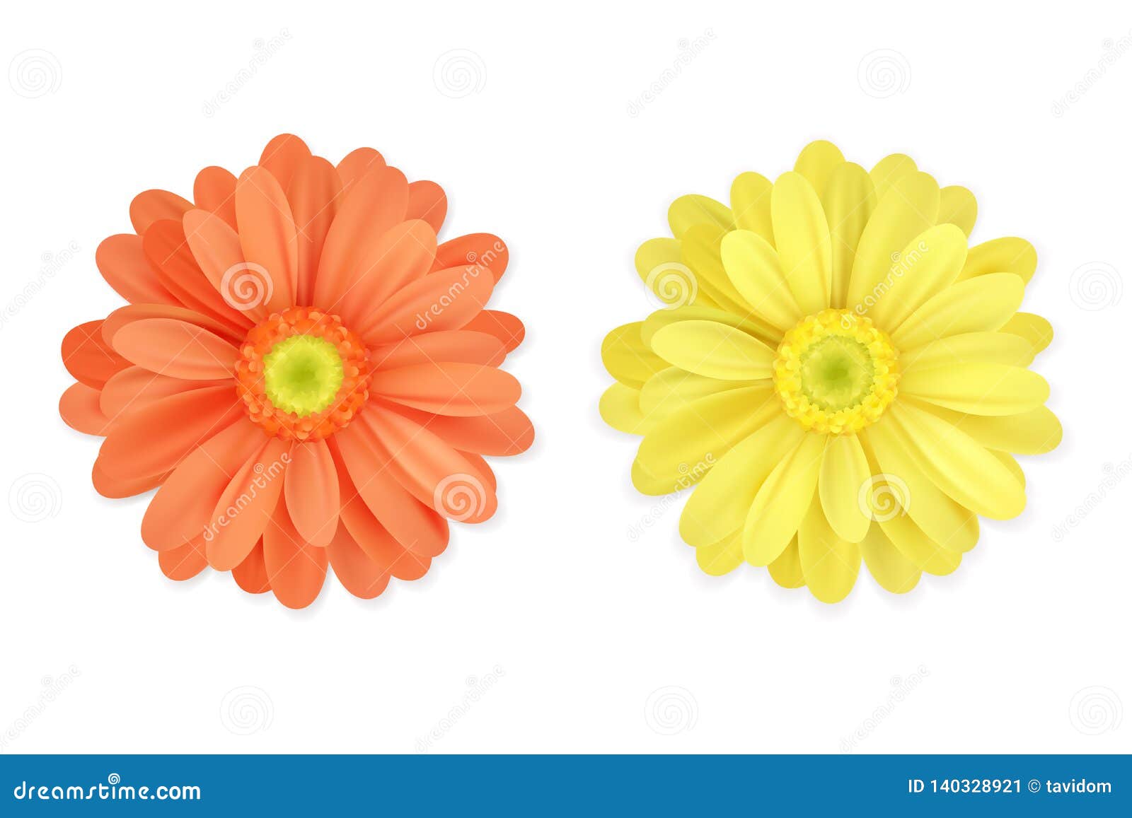 Realistic Beautiful Orange and Yellow Flowers Isolated on White ...