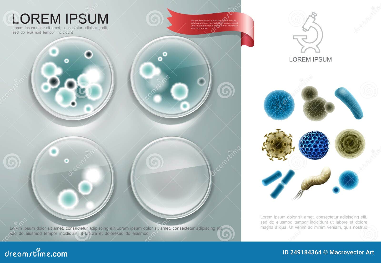 Realistic Biological Microorganisms Composition Stock Vector ...