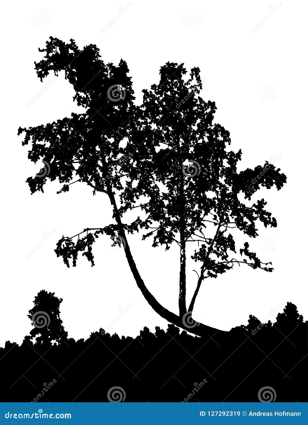 Realistic Birch Trees Silhouette Vector Illustration. Stock ... Realistic Birch Trees Silhouette Vector Illustration. Stock ...
