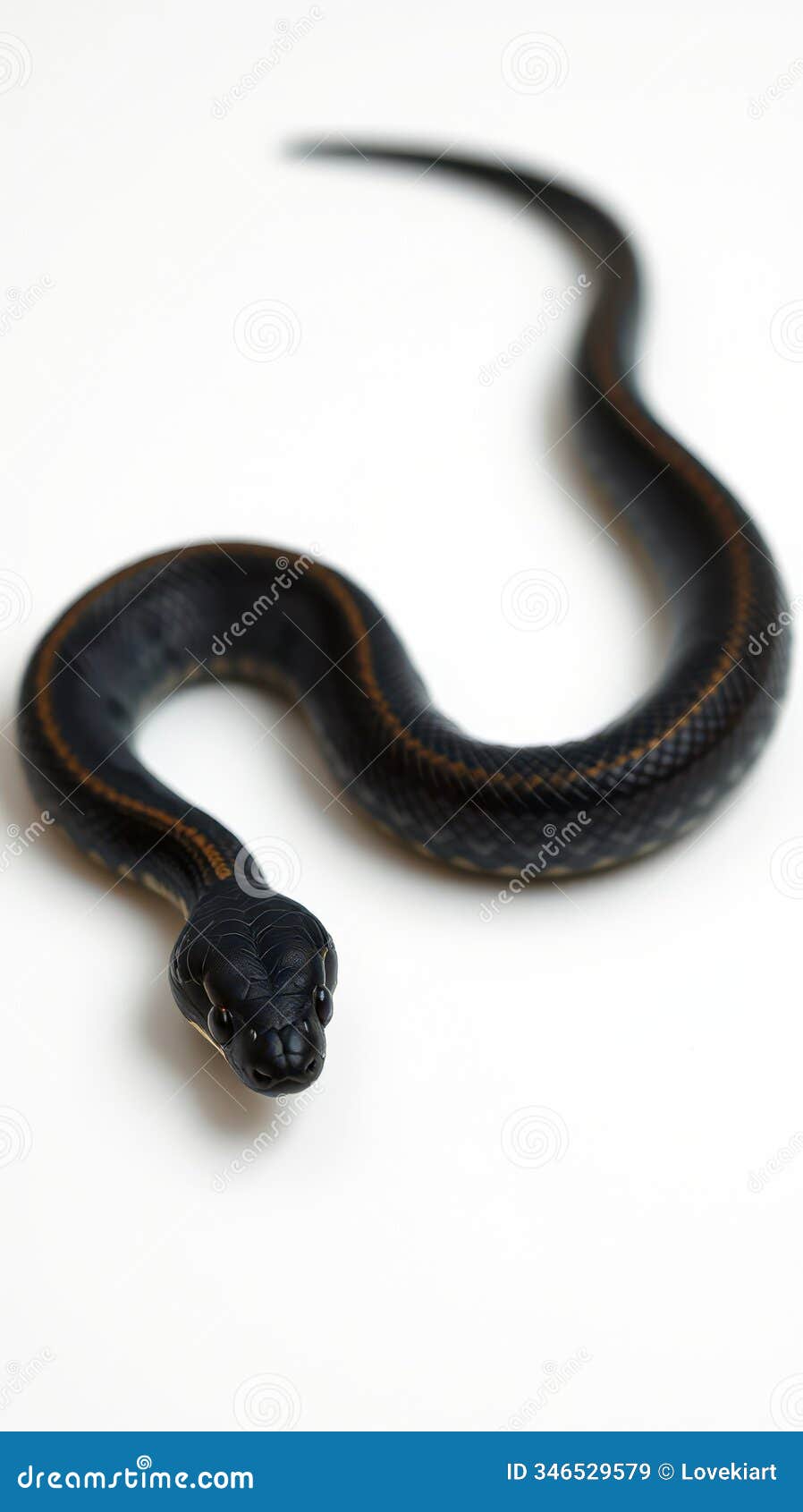 Realistic Black Snake Model with Intricate Details Lying on a White ...
