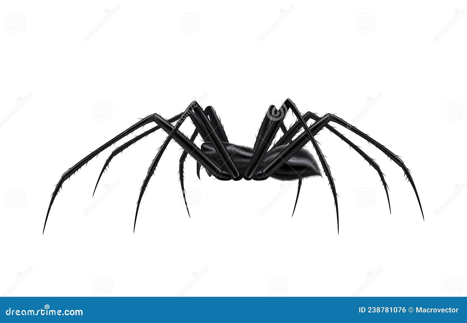 Realistic Spider Illustration Stock Vector - Illustration of monster ...