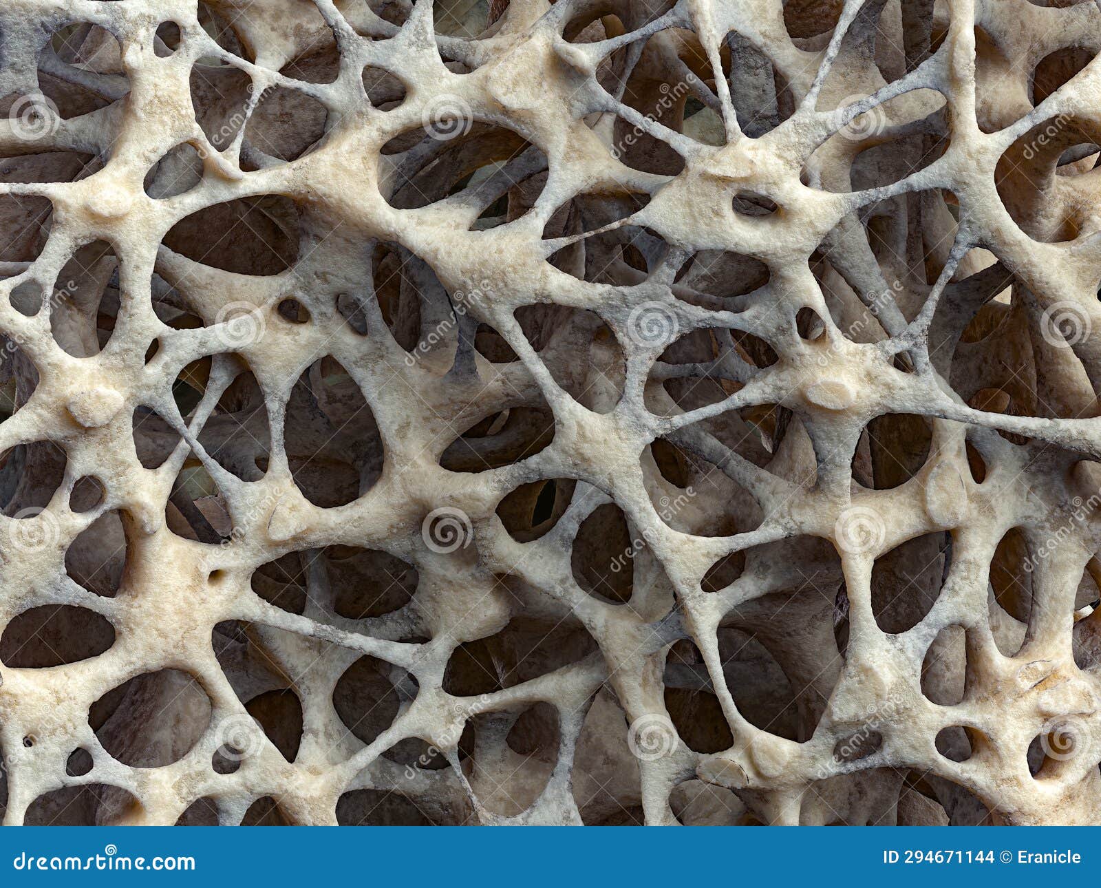 Bone Spongy Structure, Bone Structure Vector Seamless Pattern ... Bone Spongy Structure, Bone Structure Vector Seamless Pattern ...