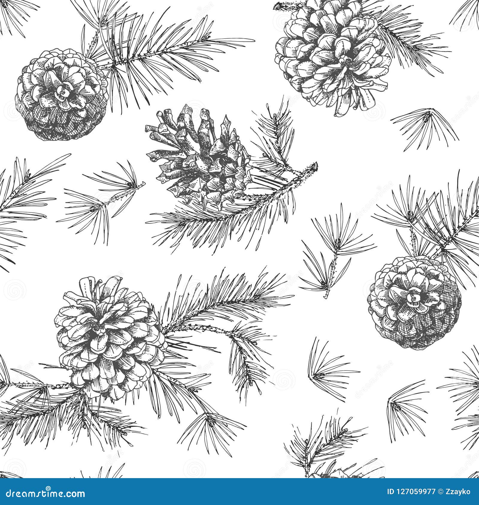 Realistic Botanical Ink Sketch of Fir Tree Branches with Pine Cone on ... Realistic Botanical Ink Sketch of Fir Tree Branches with Pine Cone on ...