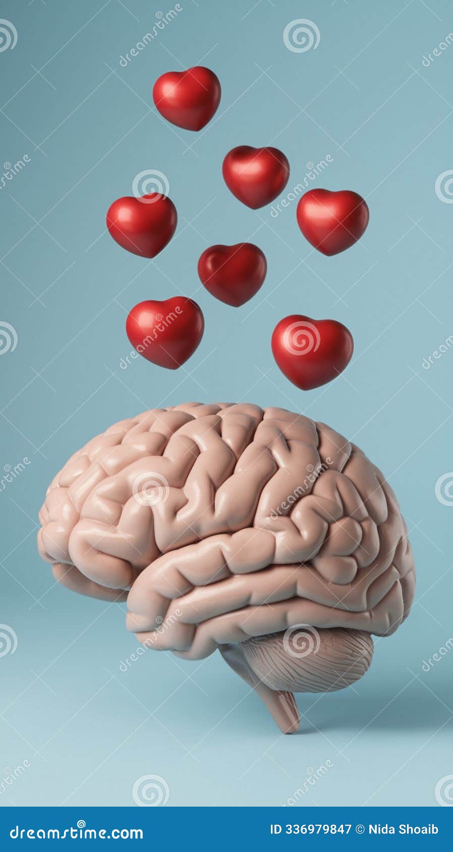 Realistic Brain Anatomy Vector Illustration | CartoonDealer.com #245620786