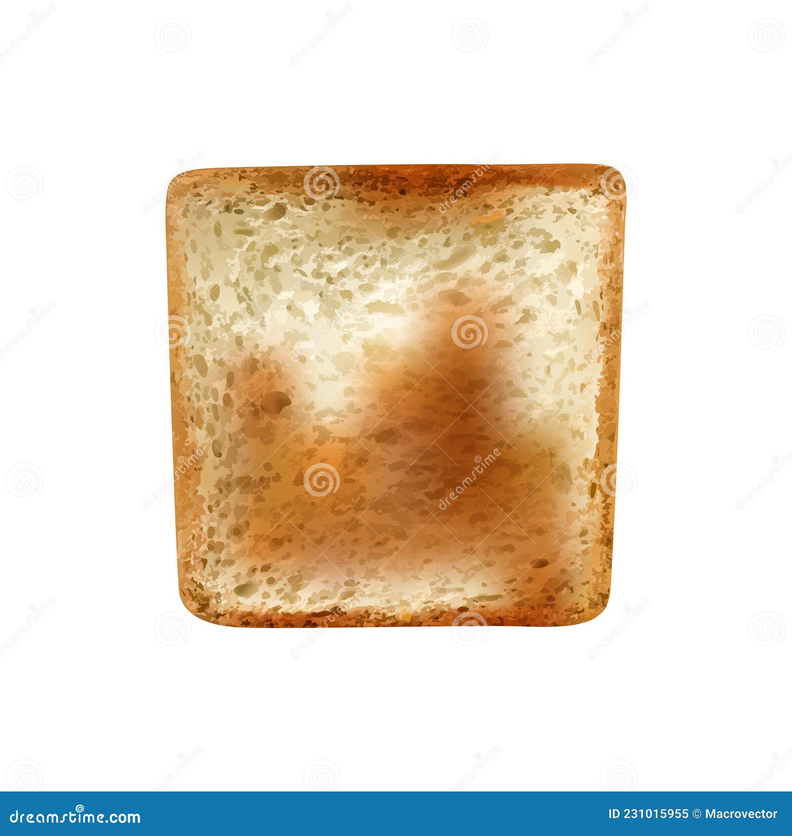 Realistic Bread Slice stock vector. Illustration of baking - 231015955