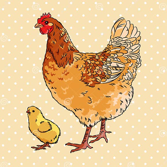 Realistic Broody Chicken and Baby Chick Side View Stock Vector ...