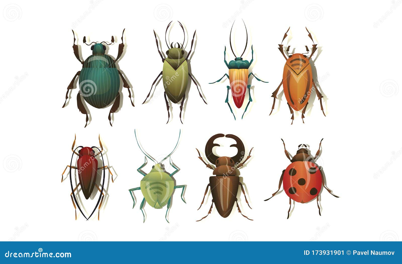 Realistic Bugs and Insects with Shadows Vector Set Stock Vector ...