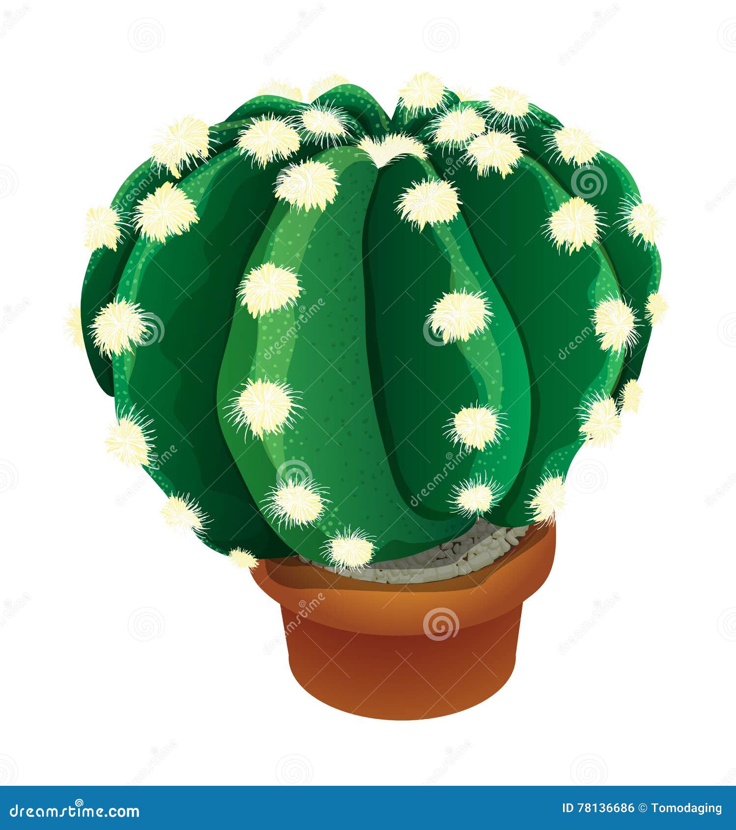 Realistic Cactus Plant Echinopsis, Mammillaria In Pot In Black Isolatd ...