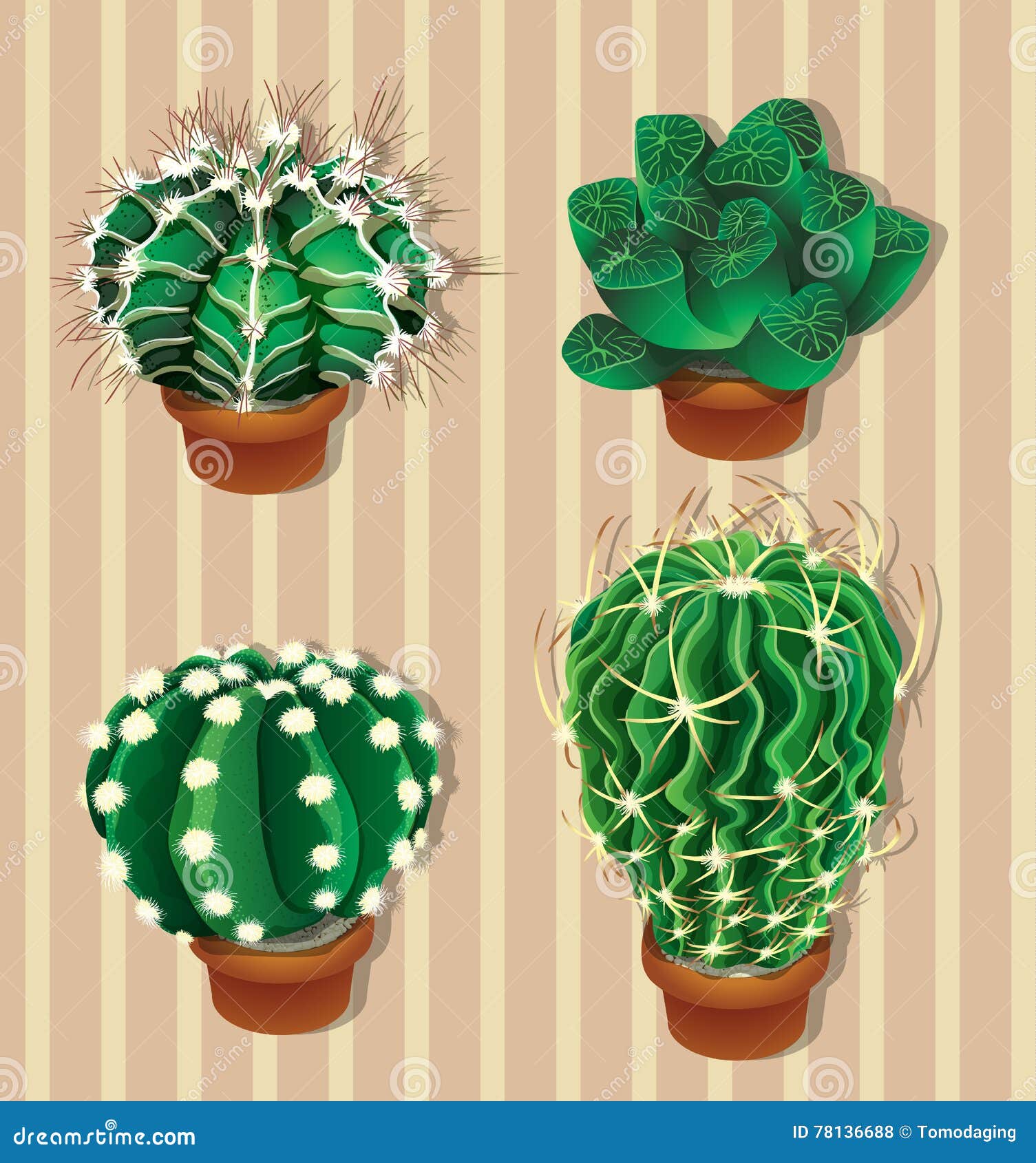 Realistic Cactus Illustration Stock Vector - Illustration of green ...