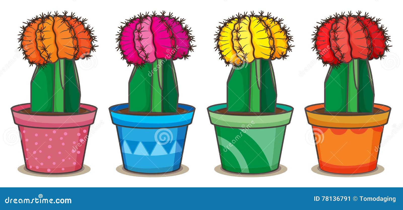 Realistic Cactus Plant Echinopsis, Mammillaria In Pot In Black Isolatd ...