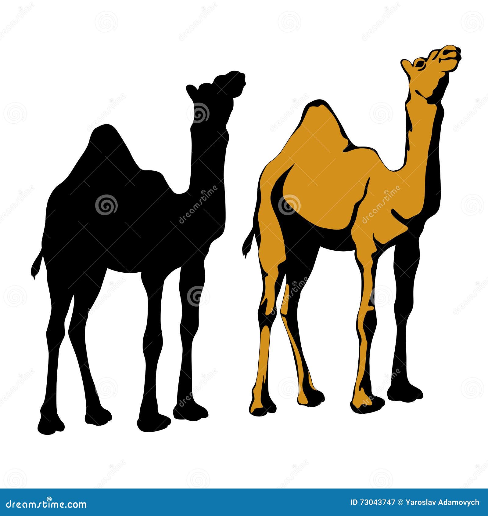 Camel Silhouette. A Set Of Camel Silhouettes Cartoon Vector ...