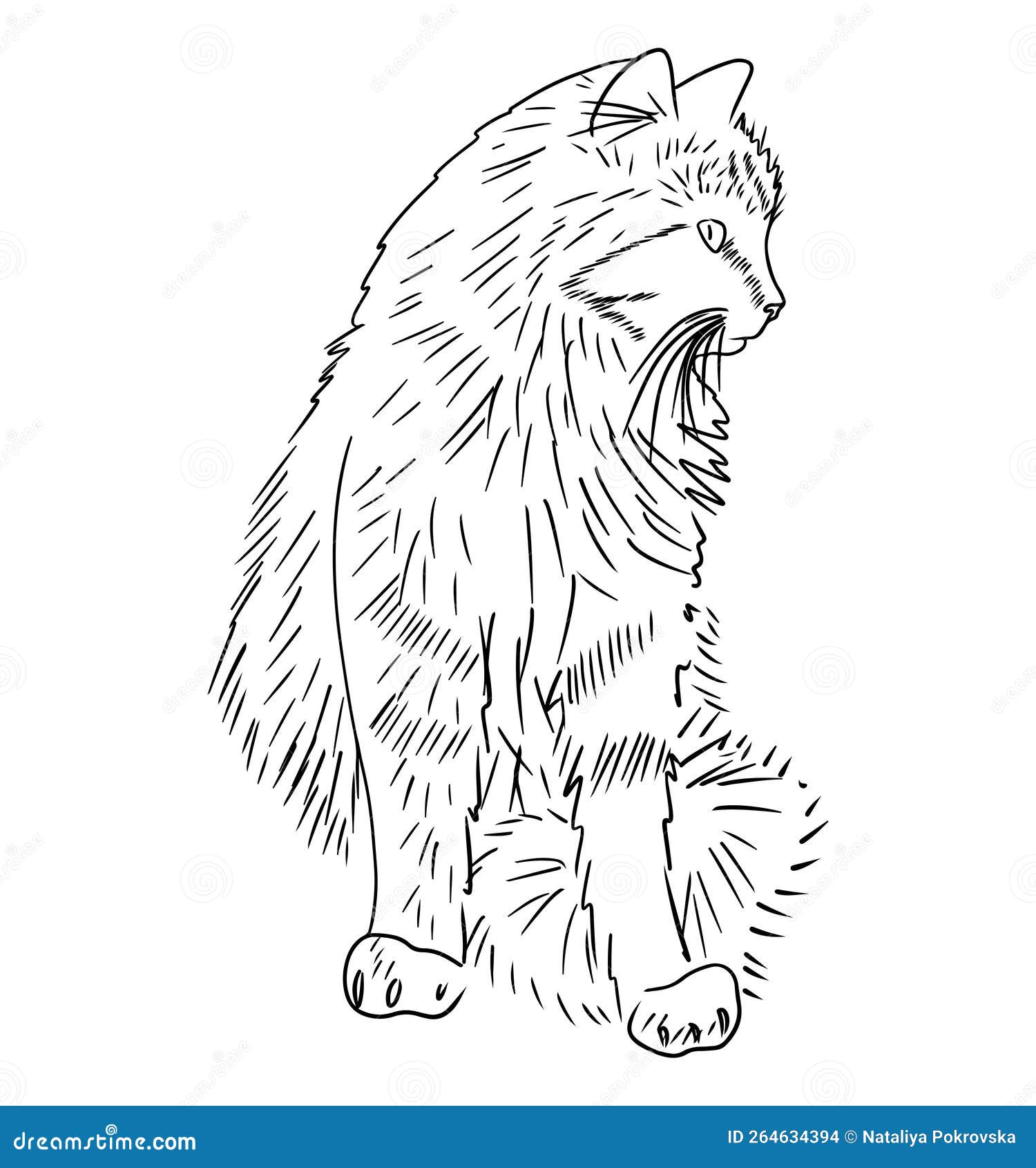 Cat Sitting Down Outline
