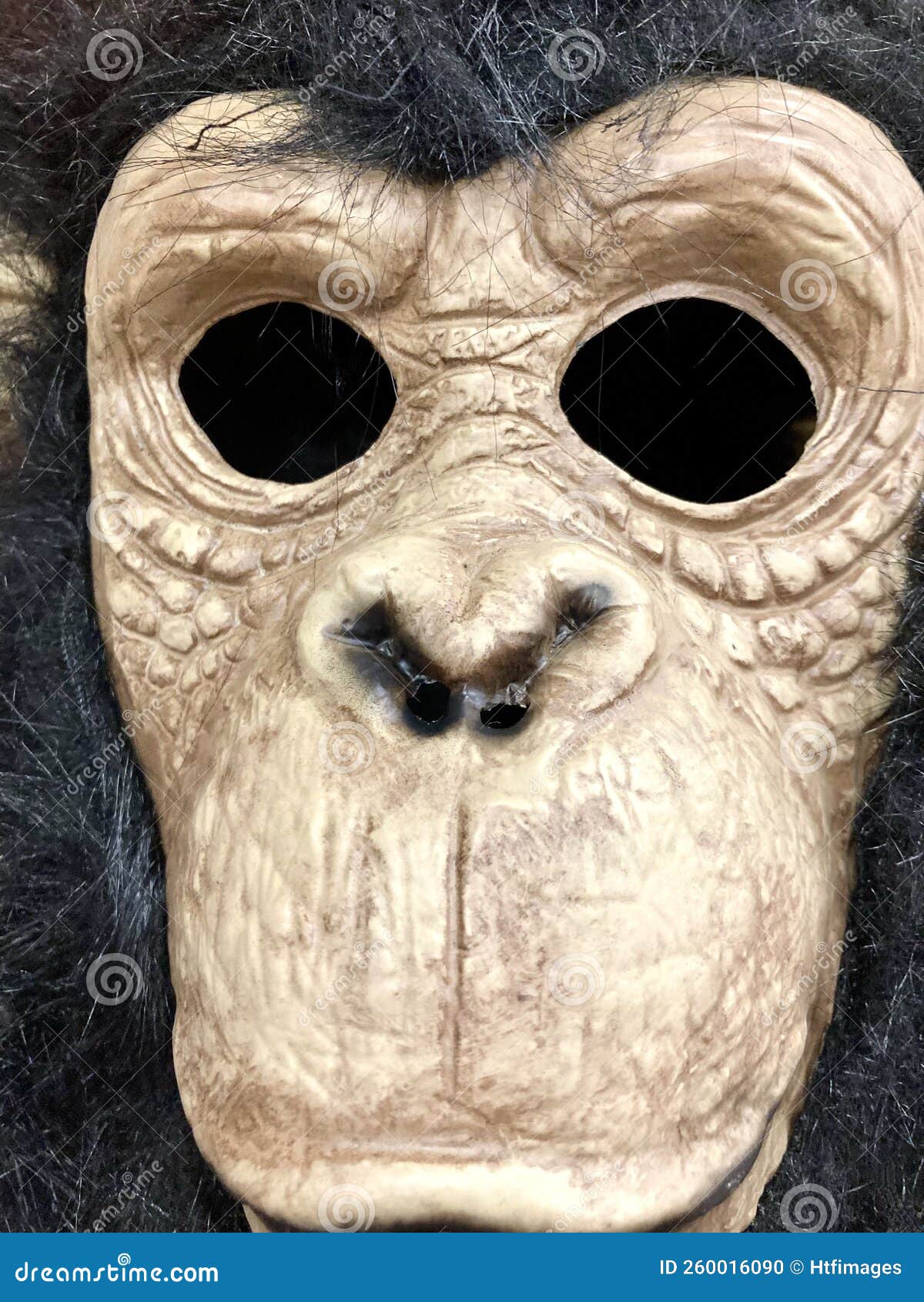 Chimp Face Mask stock photo. Image of eyes, chimpanzee - 260016090