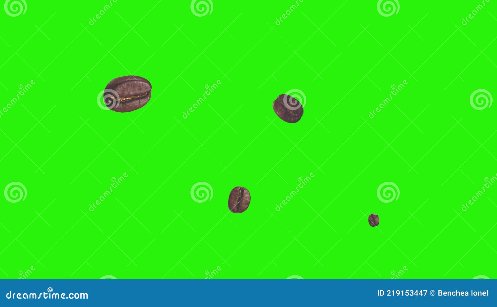 Realistic Coffee Beans Animation Graphic Element on Green Screen Chroma ...