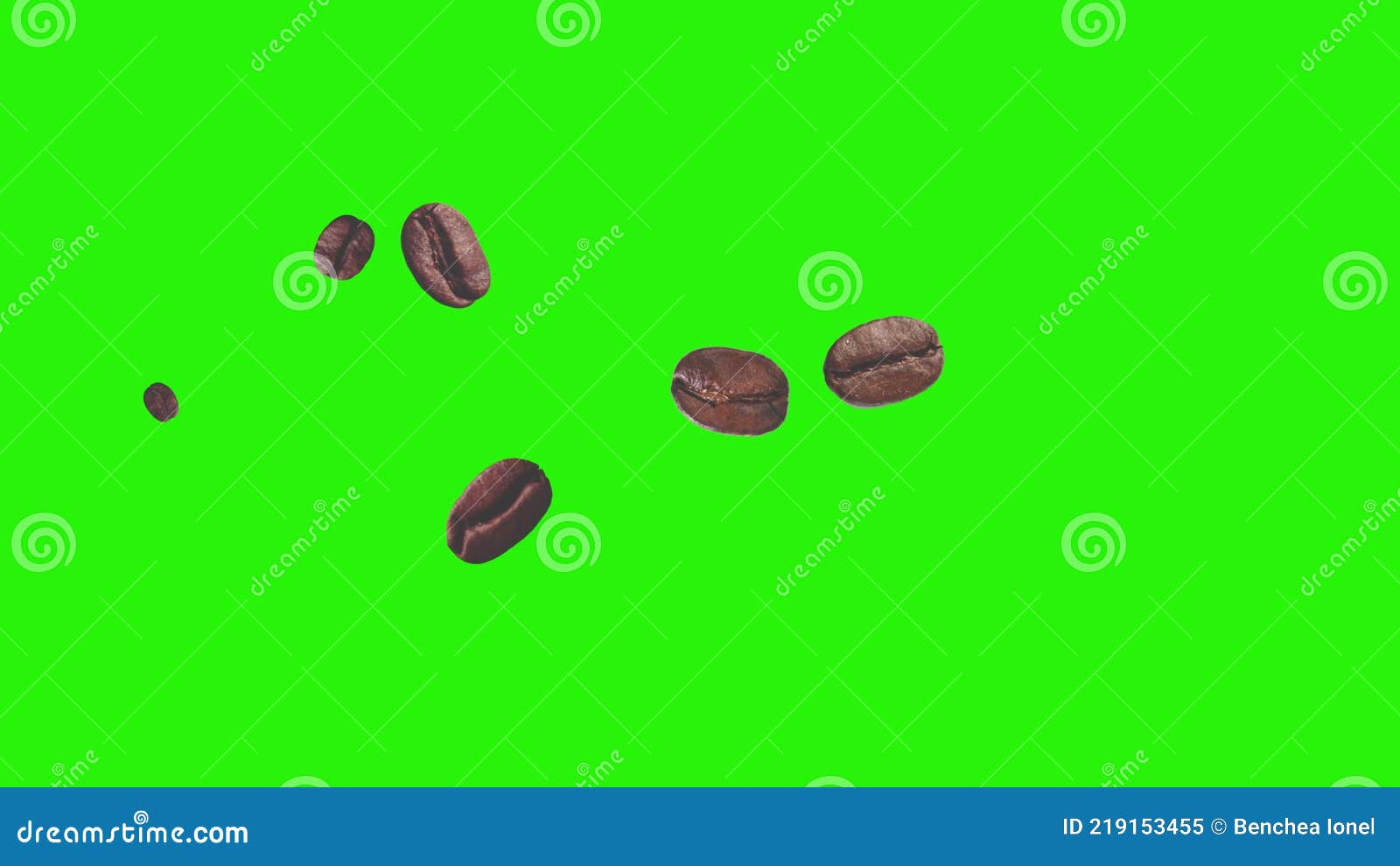 Realistic Coffee Beans Animation Graphic Element on Green Screen Chroma ...