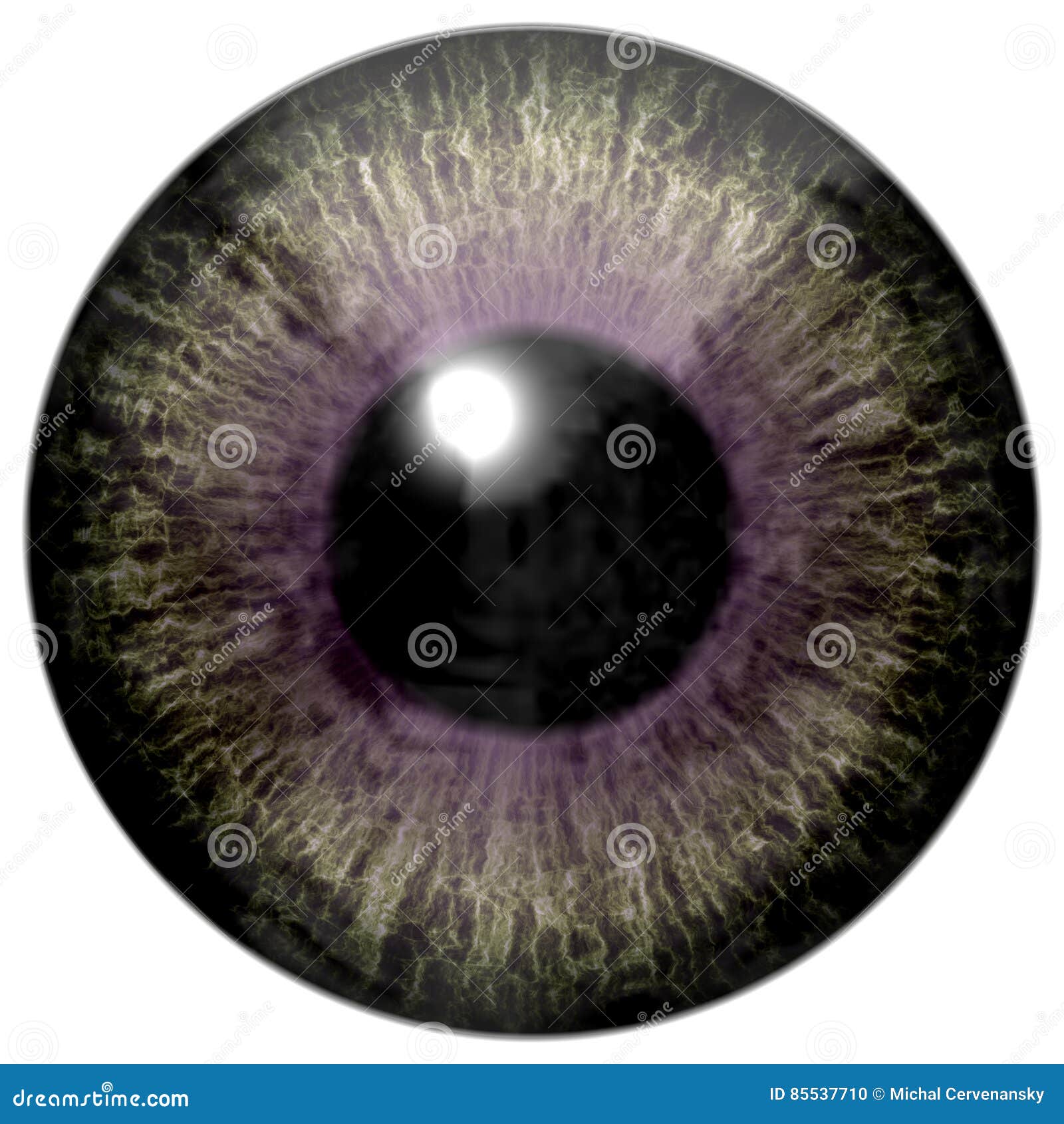 Realistic Colorful Eye Iris Texture Stock Illustration - Illustration ...