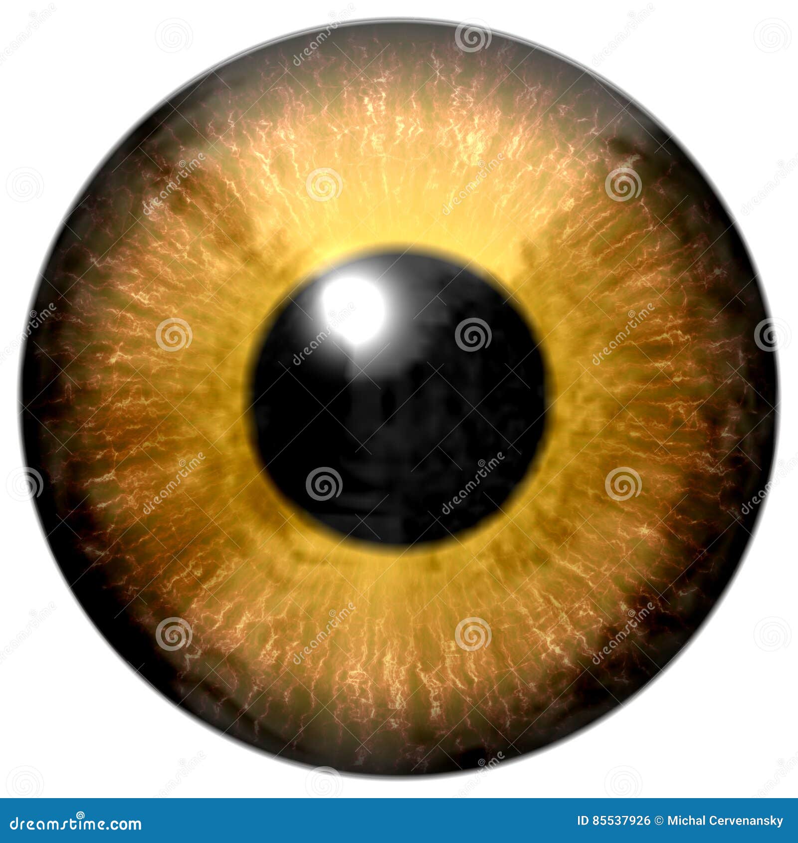 Realistic Colorful Eye Iris Texture Stock Illustration - Illustration ...