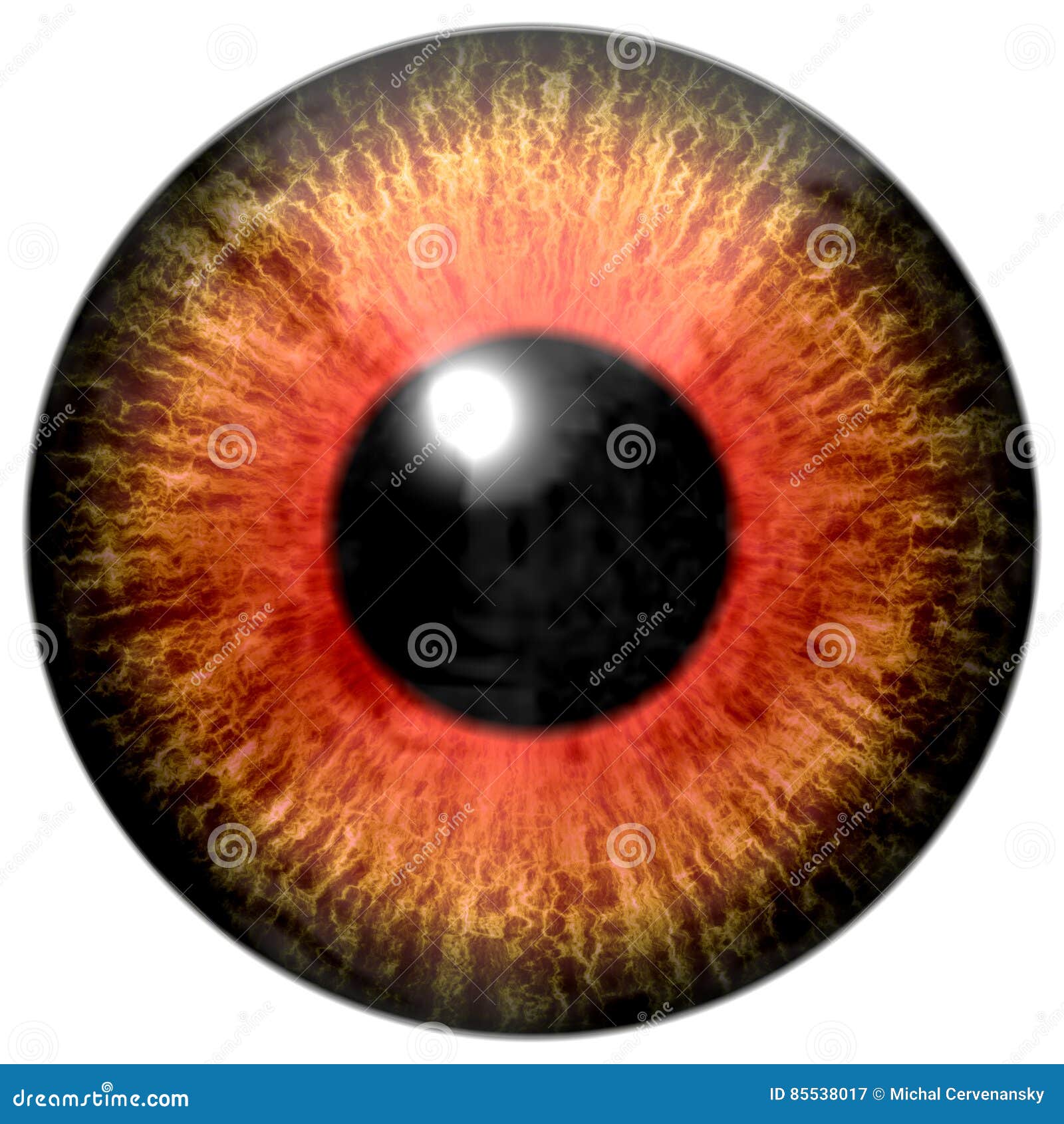 Realistic Colorful Eye Iris Texture Stock Illustration - Illustration ...