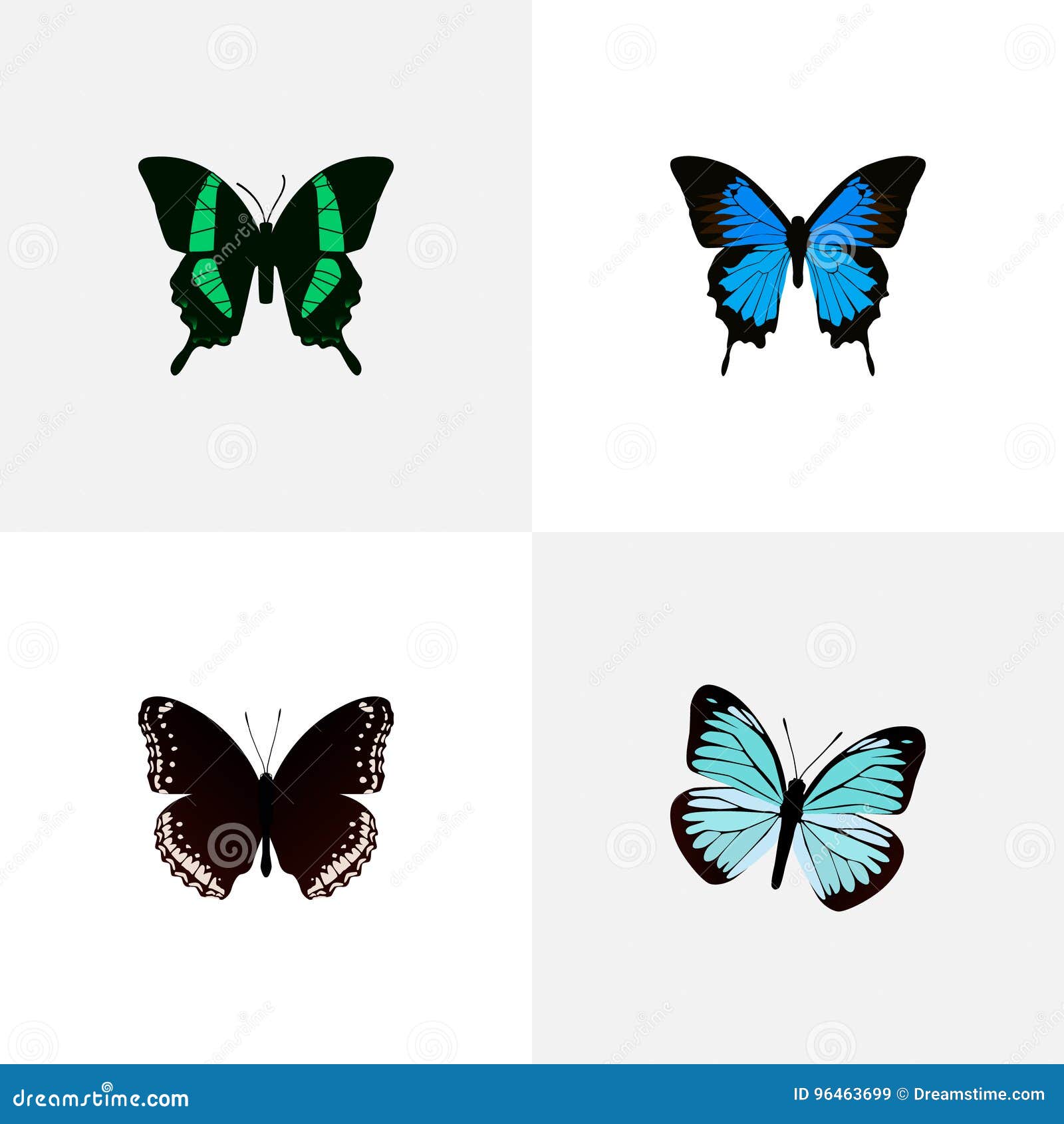 Realistic Lexias, Butterfly, Common Blue And Other Vector Elements. Set ...