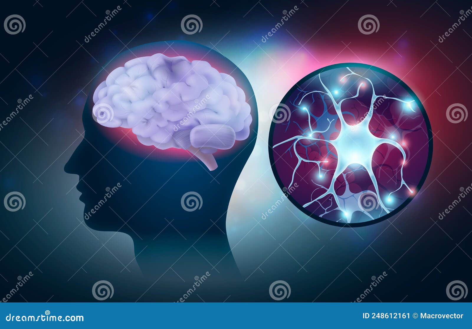 Brain Realistic Composition Stock Vector - Illustration of typography ...