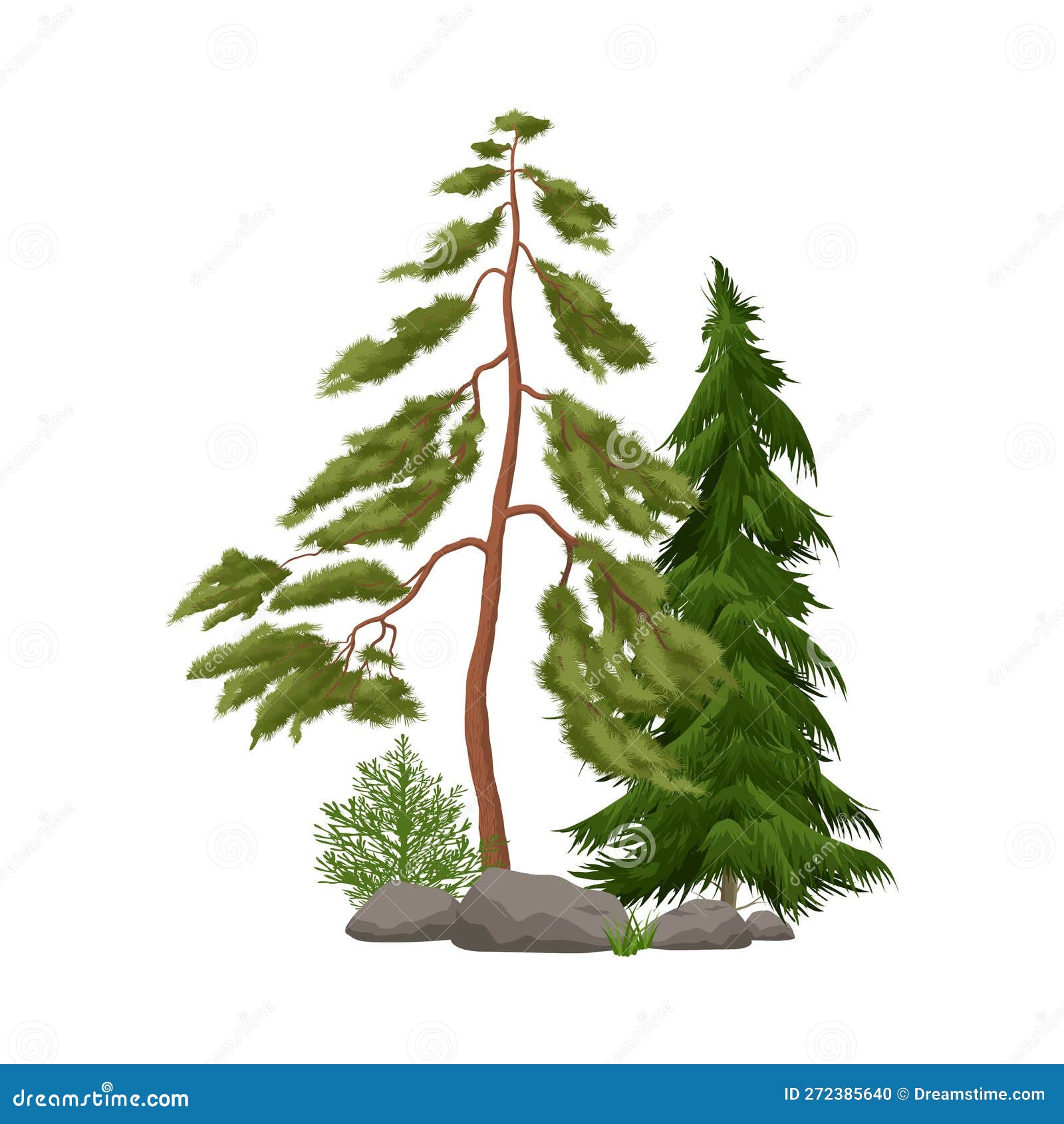 Realistic Coniferous Trees stock vector. Illustration of needle - 272385640