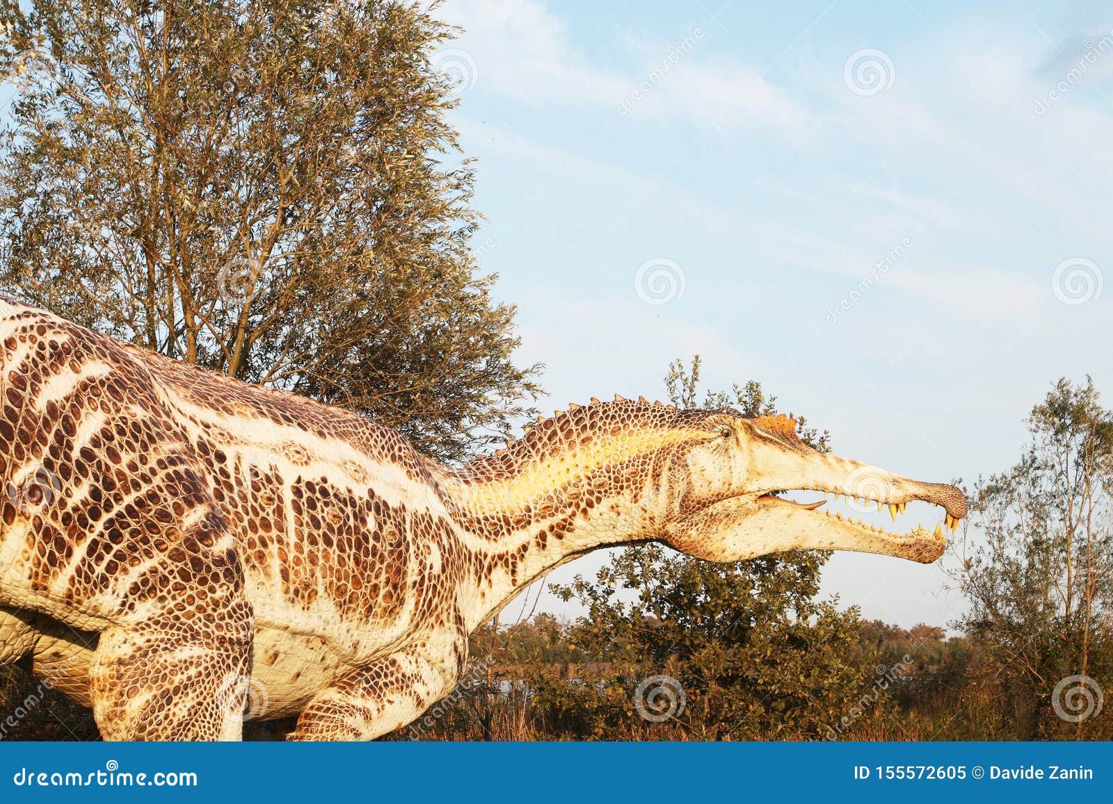 Realistic Copy Of Brachiosaurus, Is A Genus Of Sauropod Dinosaur That ...