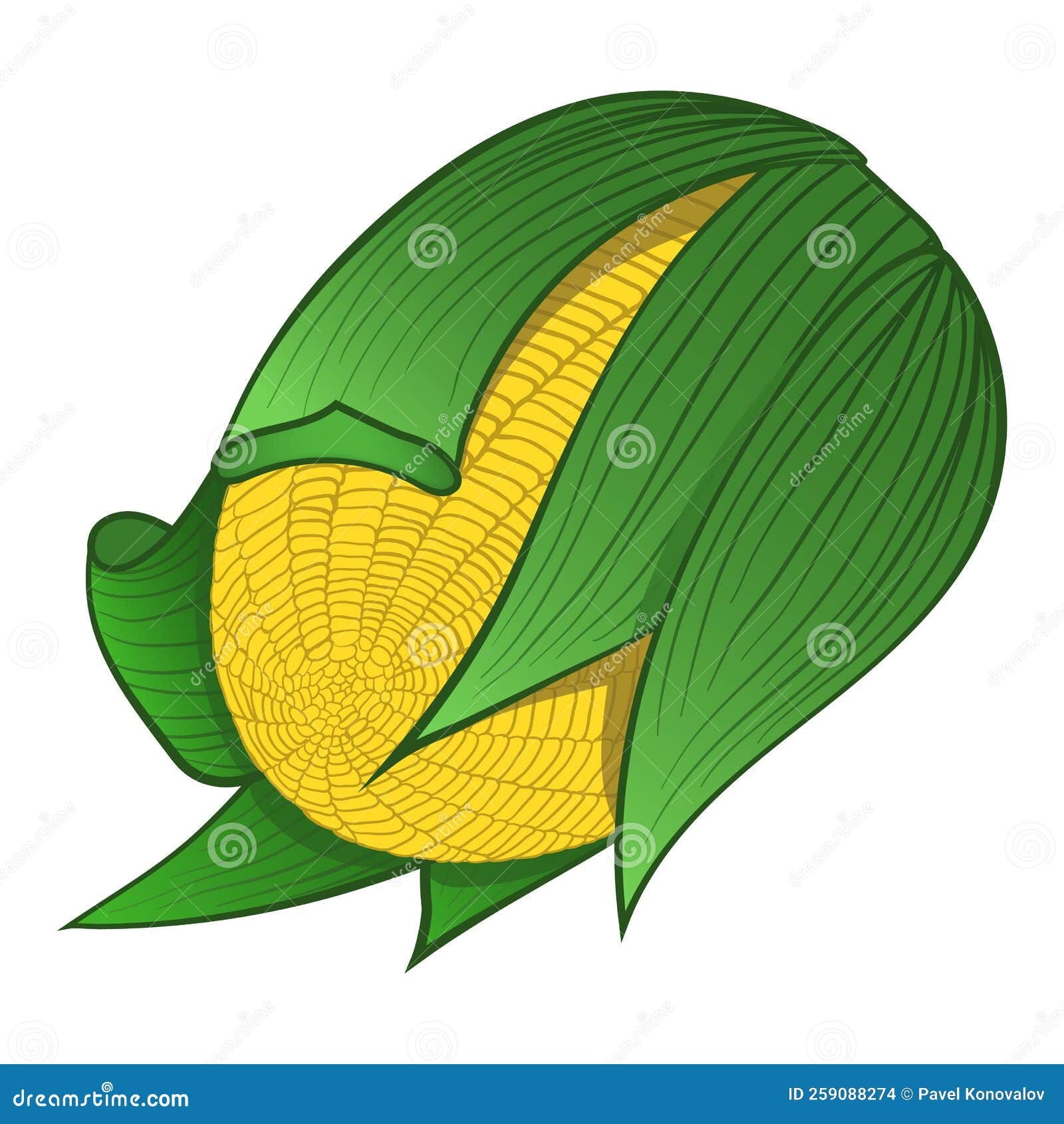 Realistic Corn With Ribbon Cartoon Vector | CartoonDealer.com #117320637