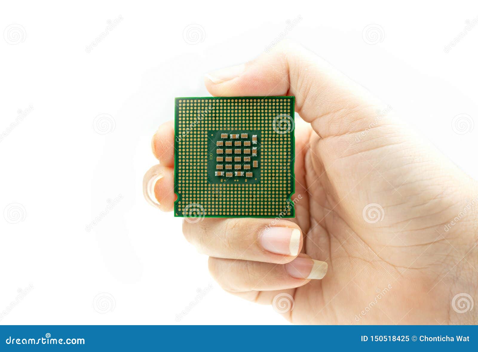 Realistic Cpu Back View Processor Chip in Hand Stock Image - Image of ...