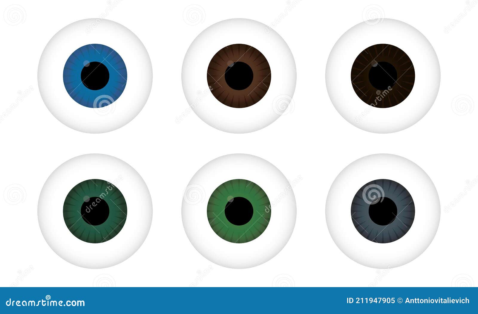 Realistic 3d Human Eyeball. Colored Eye Iris Set On White Background ...