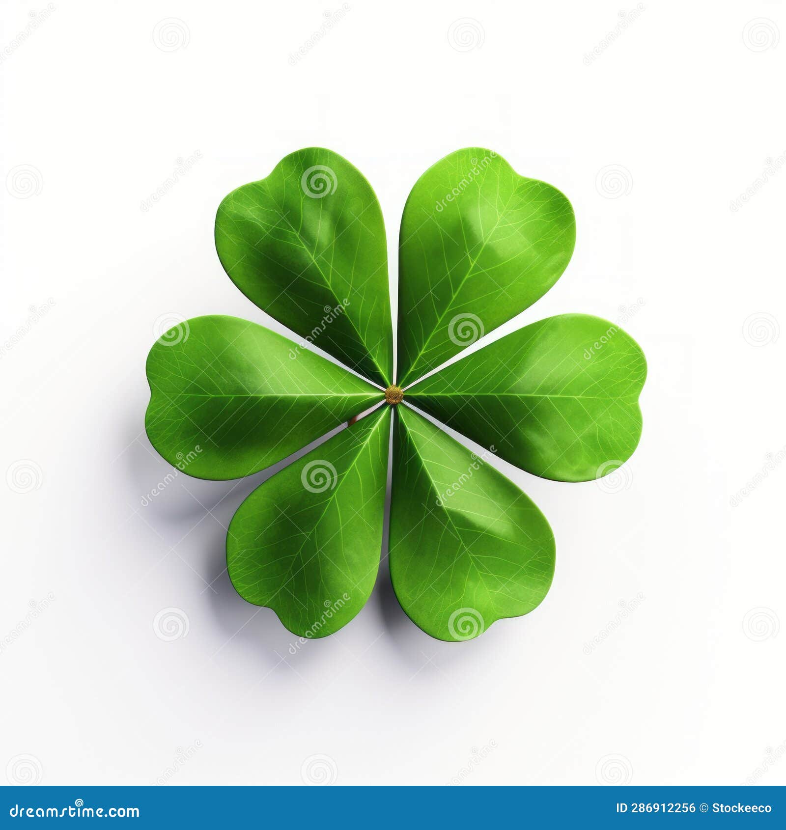 Realistic 3d Model of Four-leaf Clover on White Background Stock ...