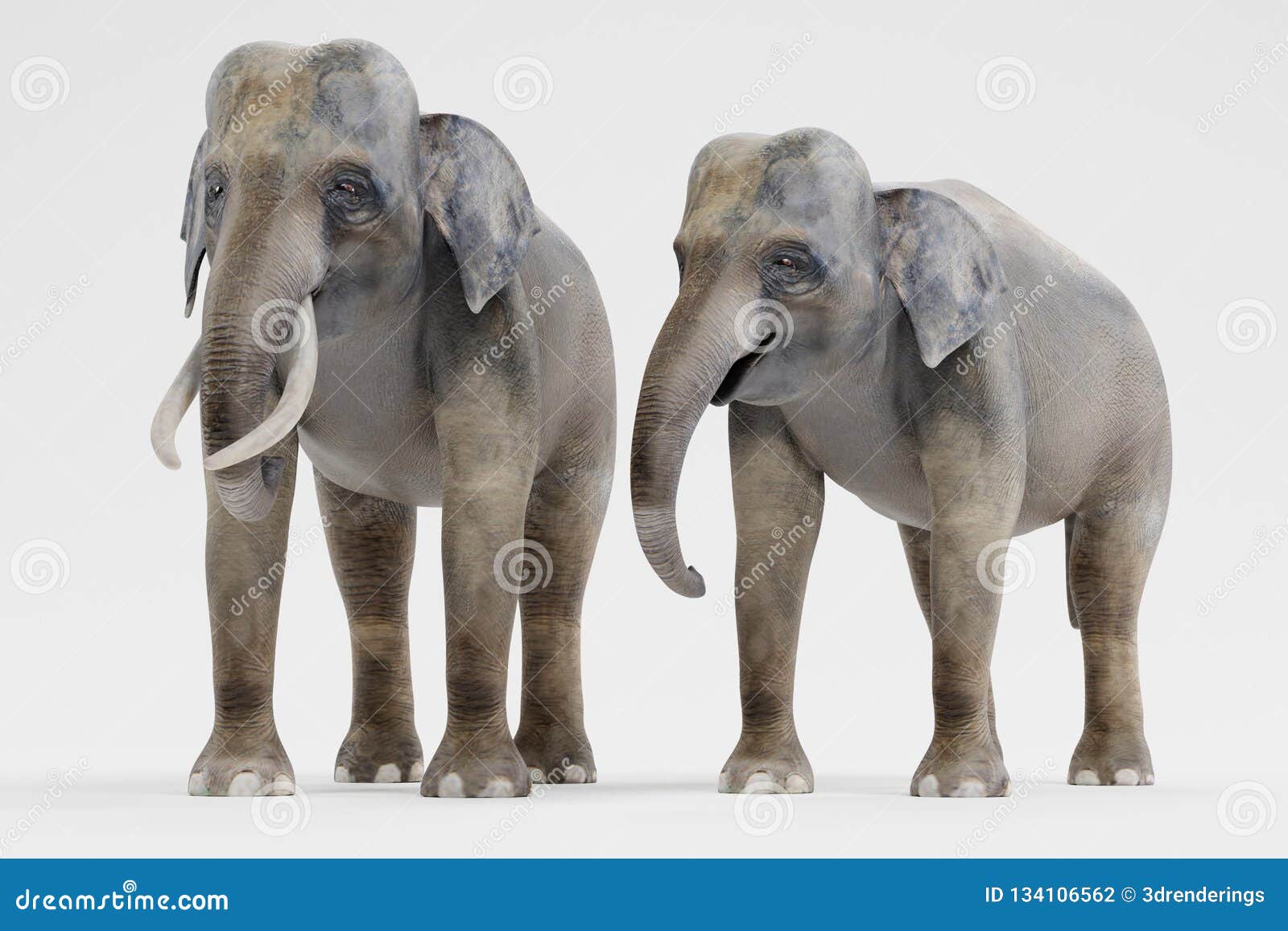 3D Render of Asian Elephants Stock Illustration - Illustration of ...