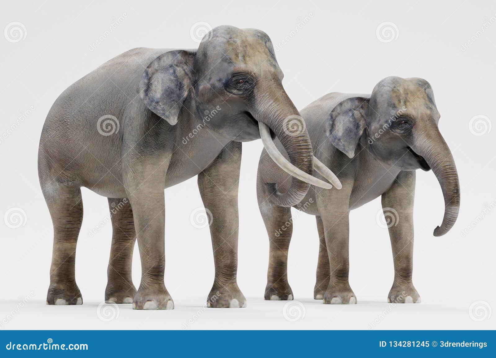3D Render of Asian Elephants Stock Illustration - Illustration of male ...