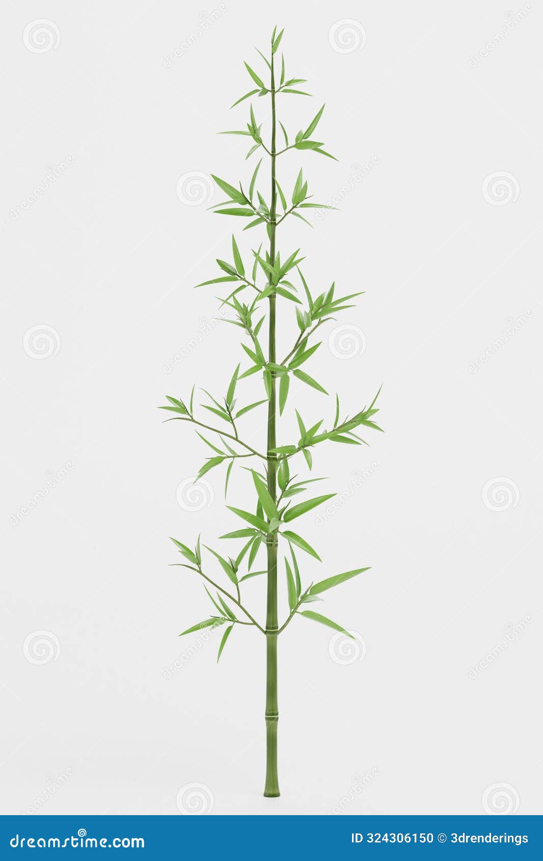 3D Render of Bamboo Plant stock illustration. Illustration of ...