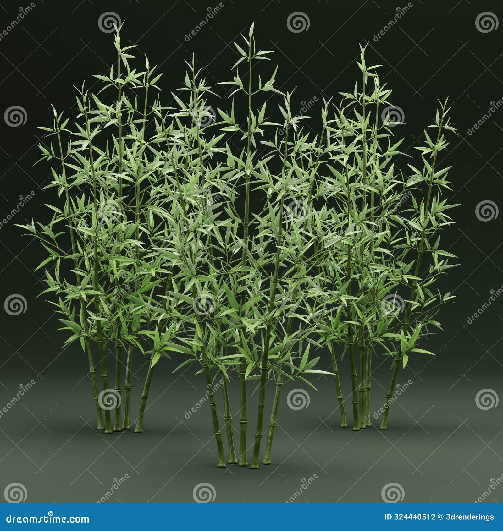 3D Render of Bamboo Plant stock illustration. Illustration of graphics ...