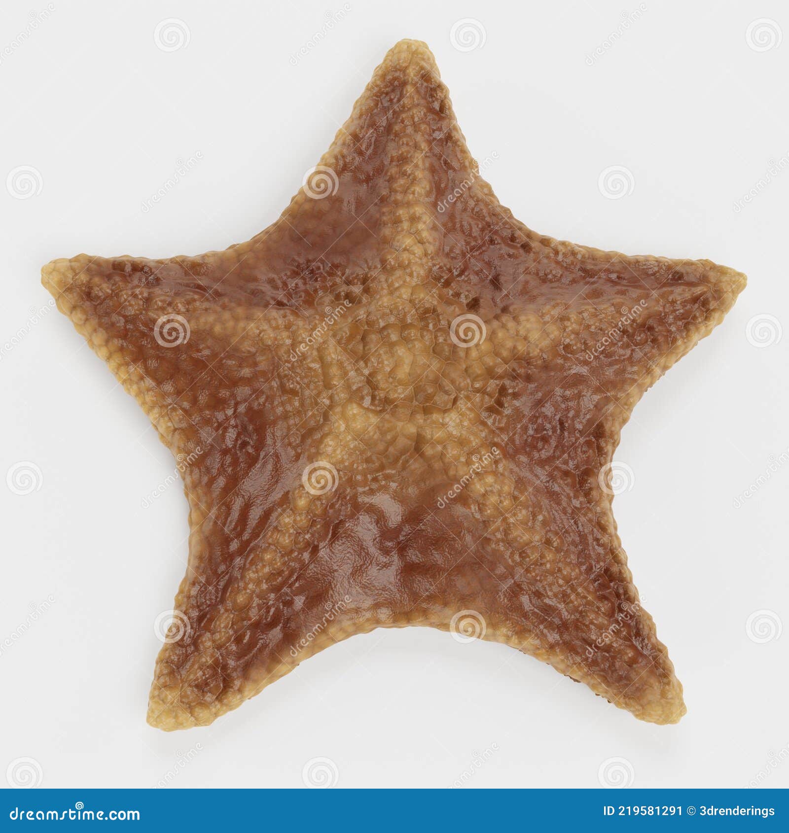 3D Render Of Bat Starfish Stock Photography | CartoonDealer.com #219786440