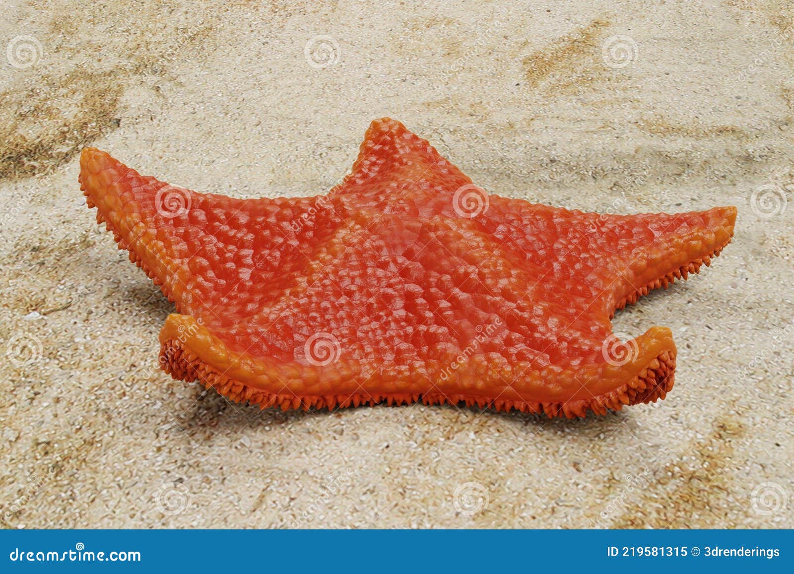 3D Render of Bat Starfish stock illustration. Illustration of seastar ...