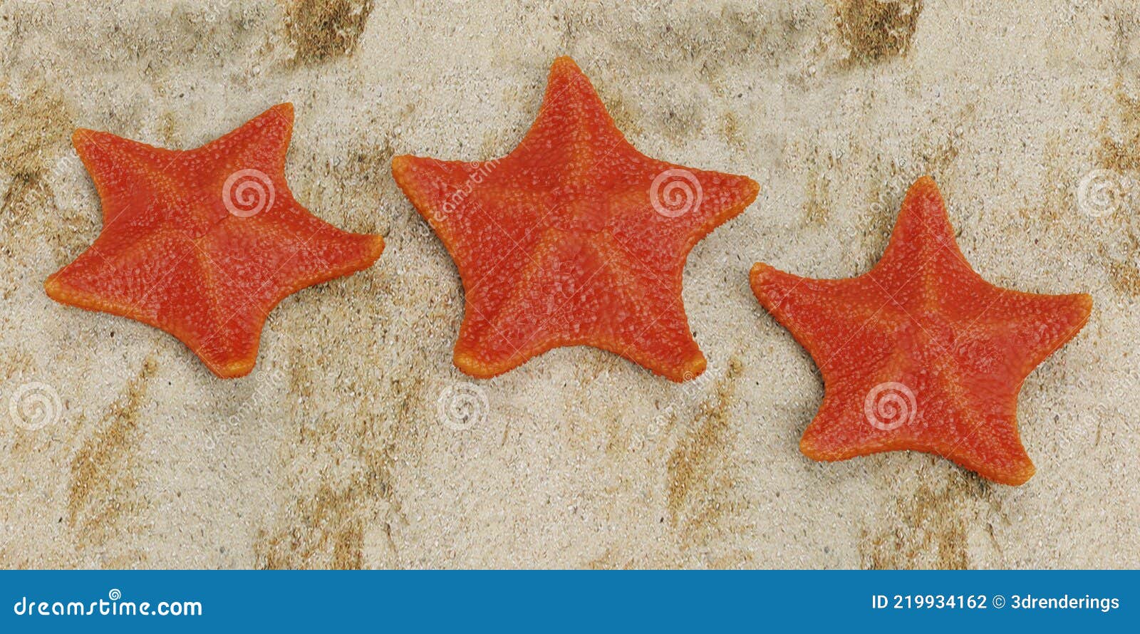 3D Render of Bat Starfish stock photo. Image of render - 219934162