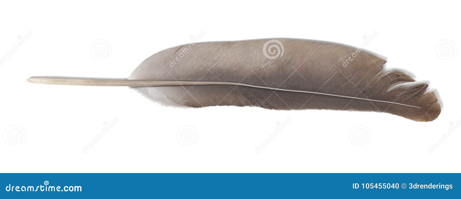3d render of bird feather stock illustration. Illustration of inkpot ...