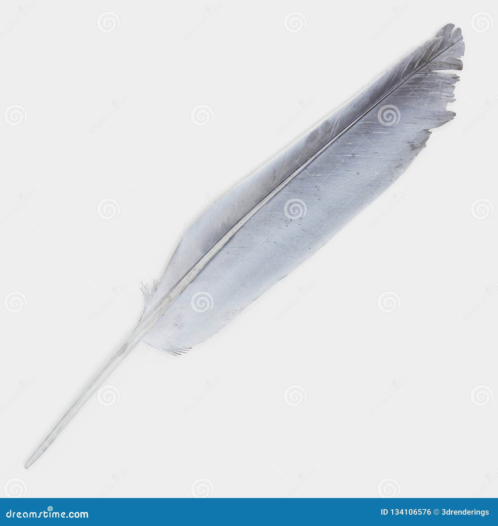 3D Render of Bird Feather stock illustration. Illustration of flight ...