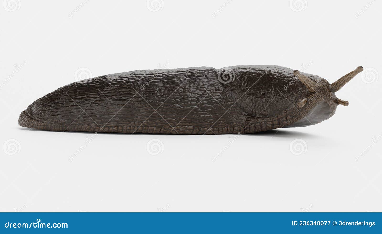 3D Render of Black Slug stock illustration. Illustration of gastropod ...