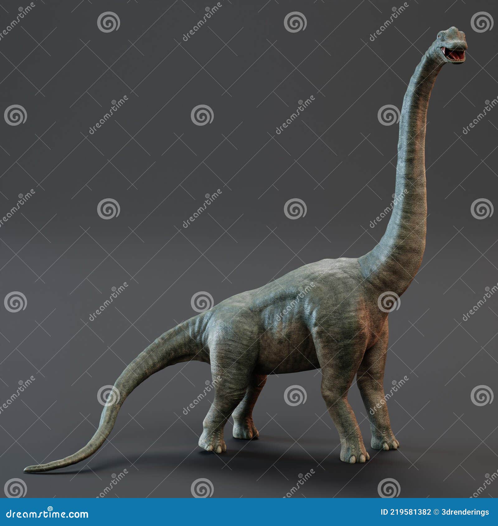 3D Render of Brachiosaurus Dinosaur Stock Illustration - Illustration ...
