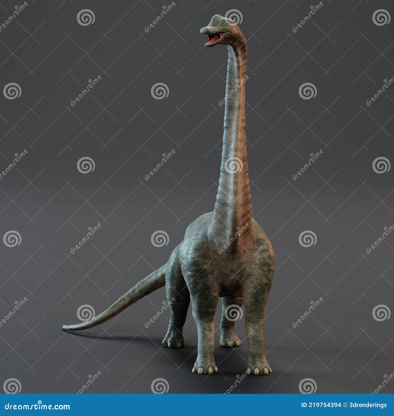 3D Render of Brachiosaurus Dinosaur Stock Illustration - Illustration ...