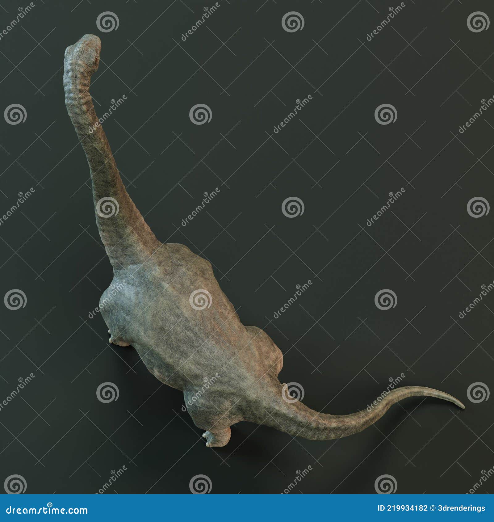3D Render of Brachiosaurus Dinosaur Stock Illustration - Illustration ...